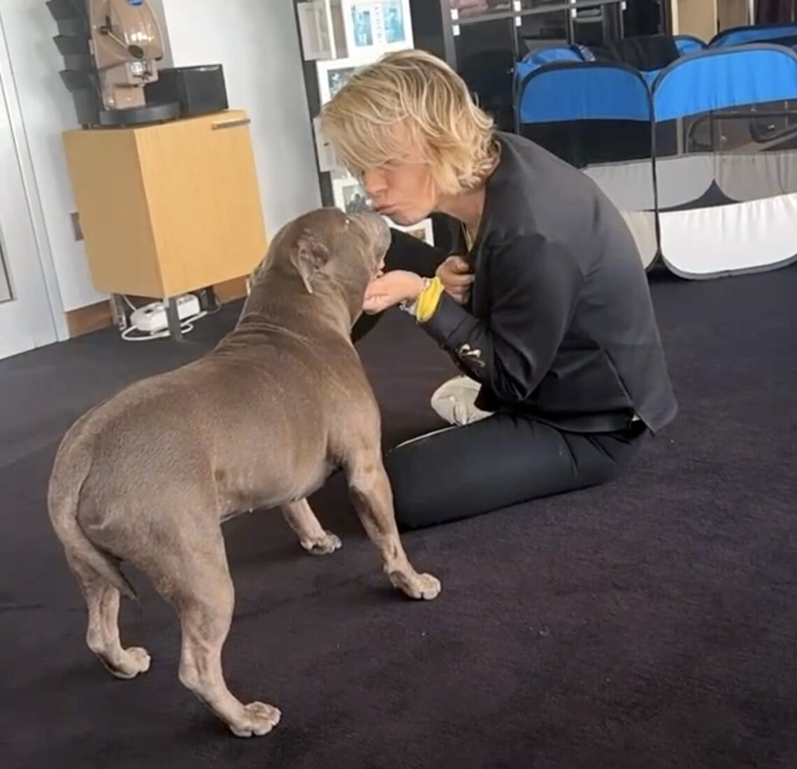 Maria De Filippi dolcissima con il cane Saki dopo la morte di Costanzo ...