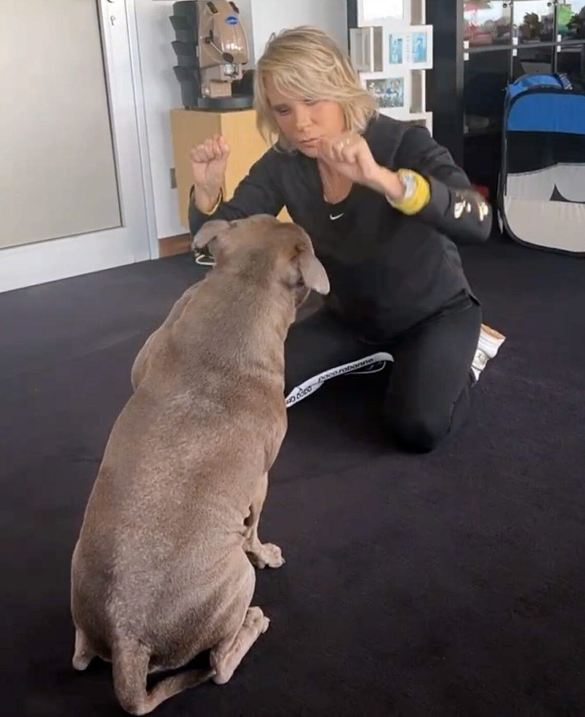 Maria De Filippi dolcissima con il cane Saki dopo la morte di Costanzo ...