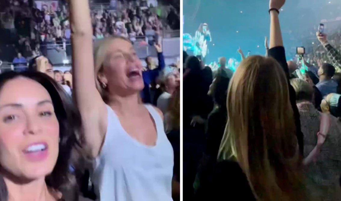 Alessia Marcuzzi single e scatenata con gli amici al concerto di Laura ...